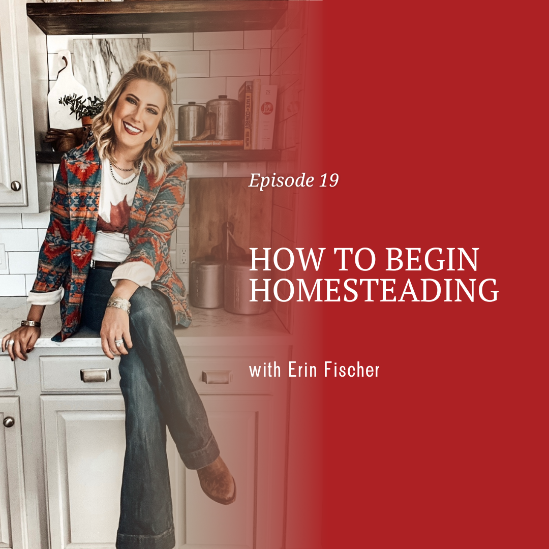 How To Begin Homesteading with Erin Fischer [episode 19] – 2383 Farms